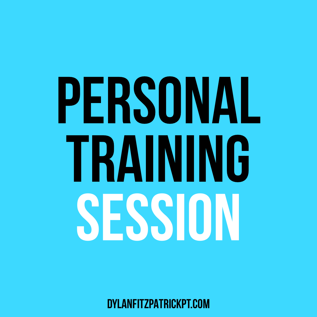 Personal Training Session – Dylan Fitzpatrick PT
